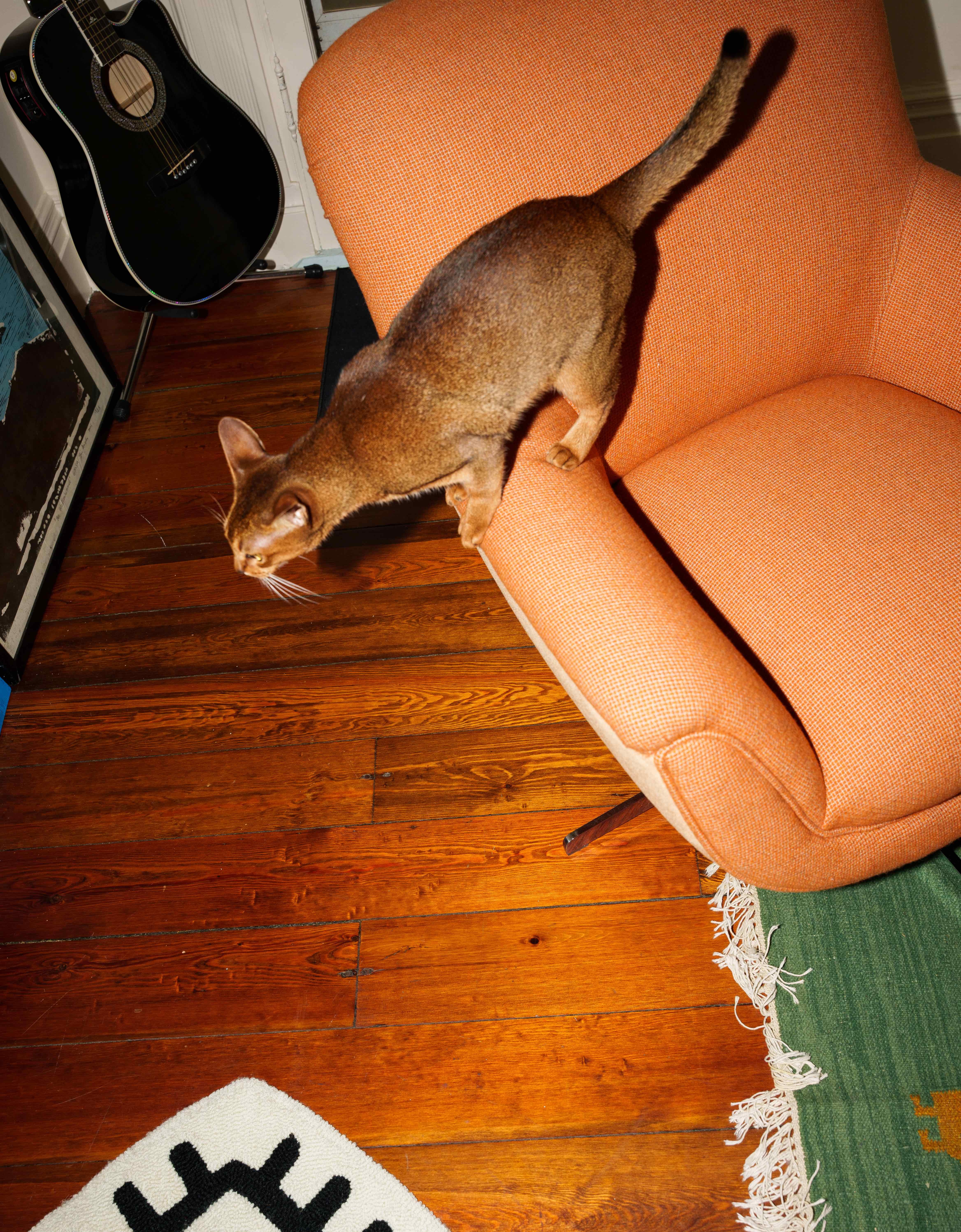 Nina Clemente featuring the Pop Chair | Orior